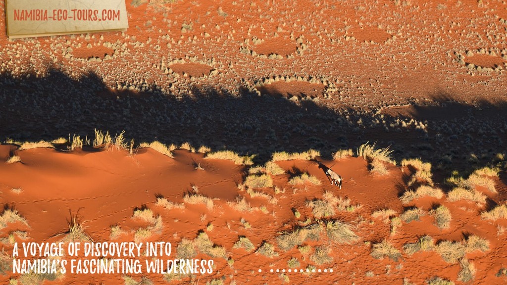 A voyage of discovery into Namibia's fascinating wilderness | Namibia ...